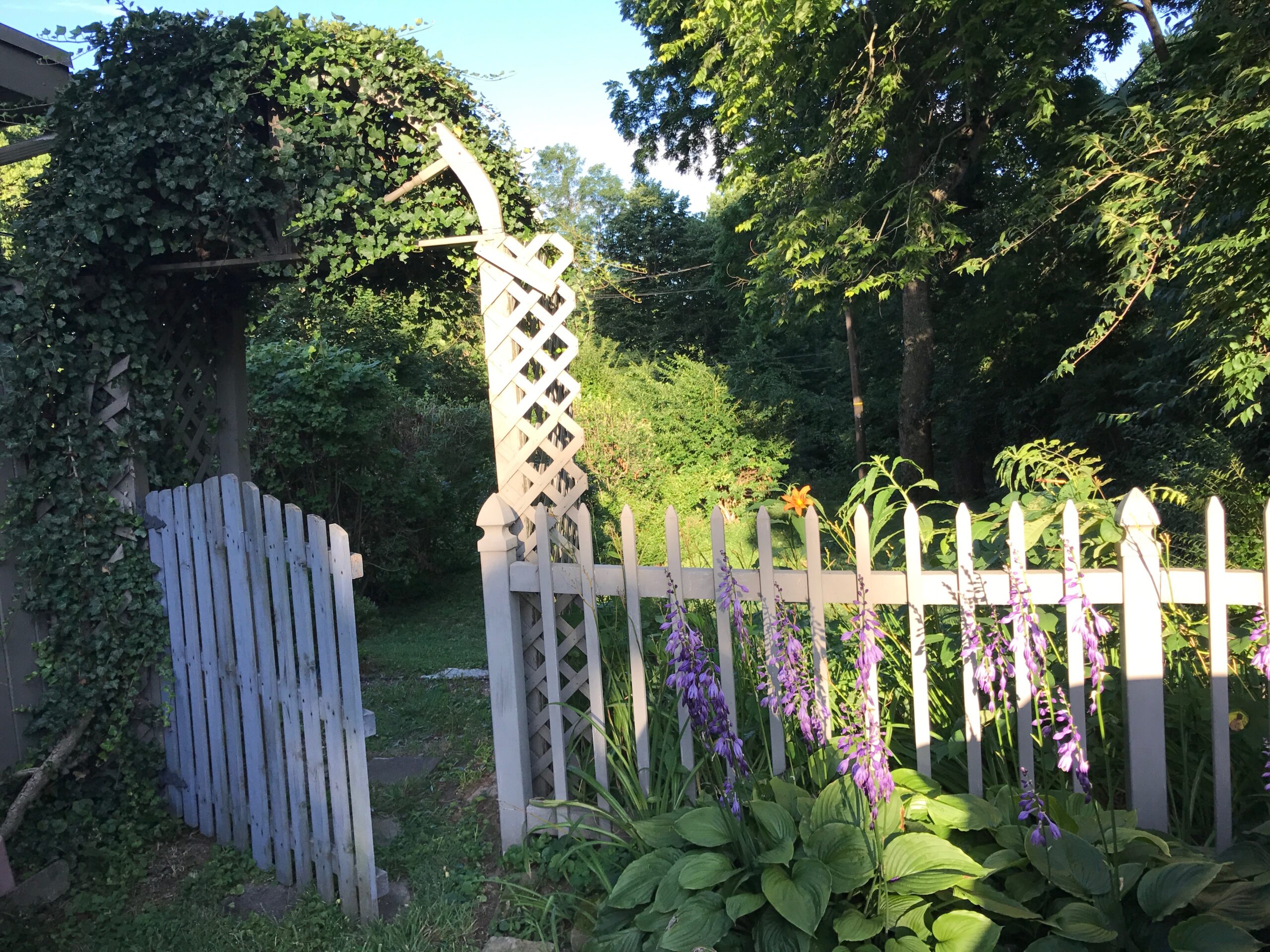 A Richer Sensory Stew - A Walker in the Suburbs