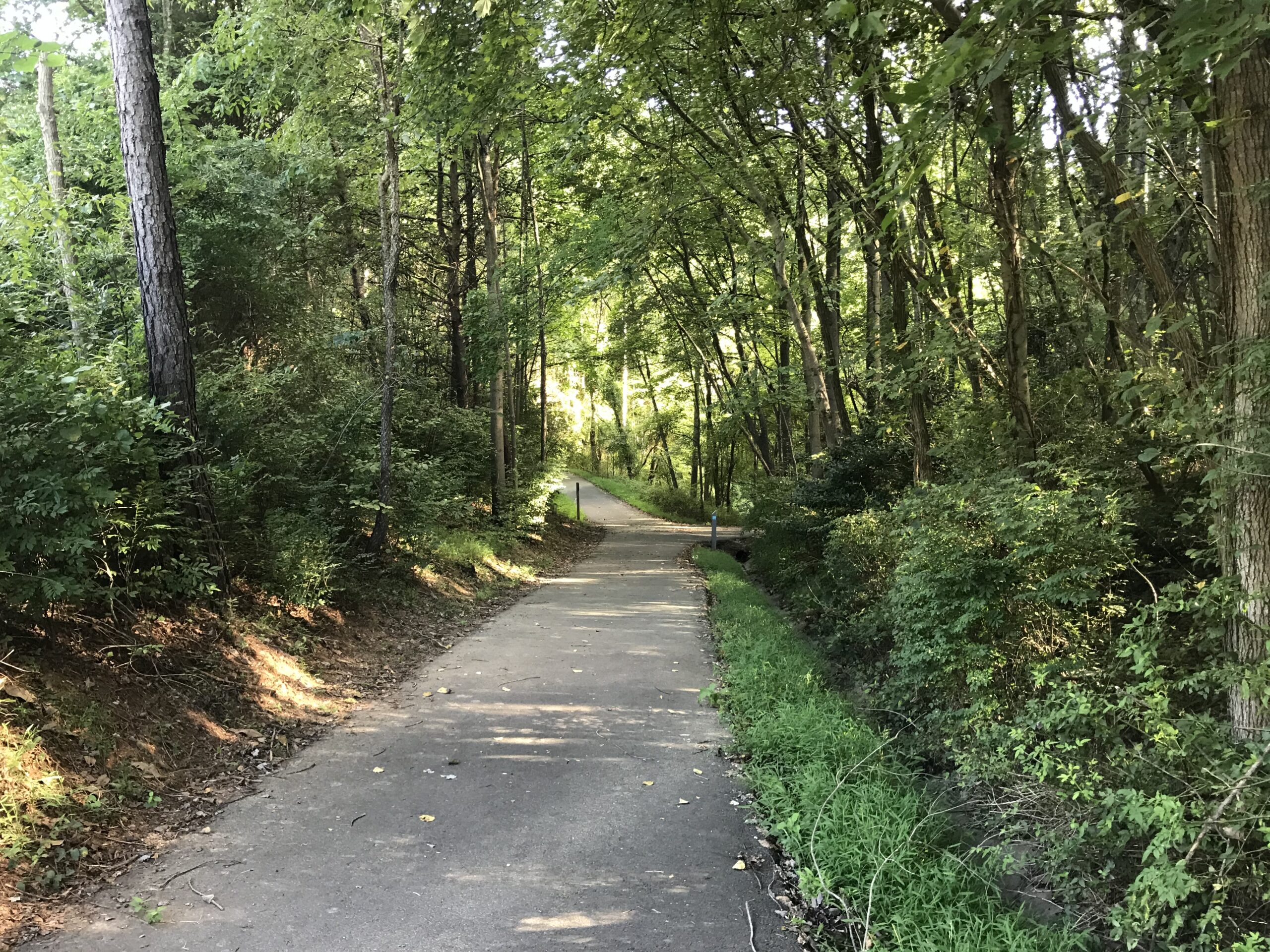 Father of the Trail - A Walker in the Suburbs